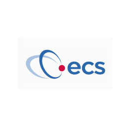 ECS Online Hiring Challenge 2021 | 20 LPA | Software Engineer